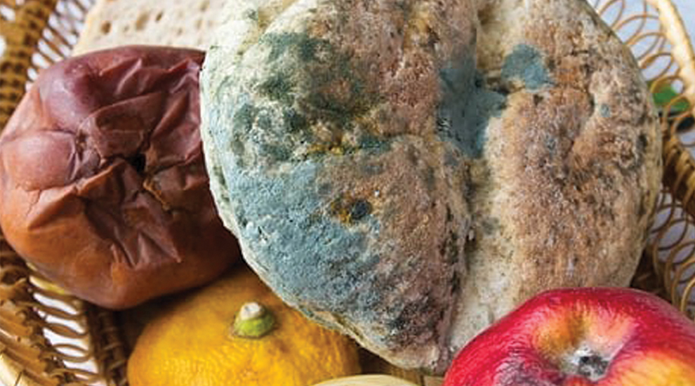 ফিচার I ছত্রাকমুক্তি